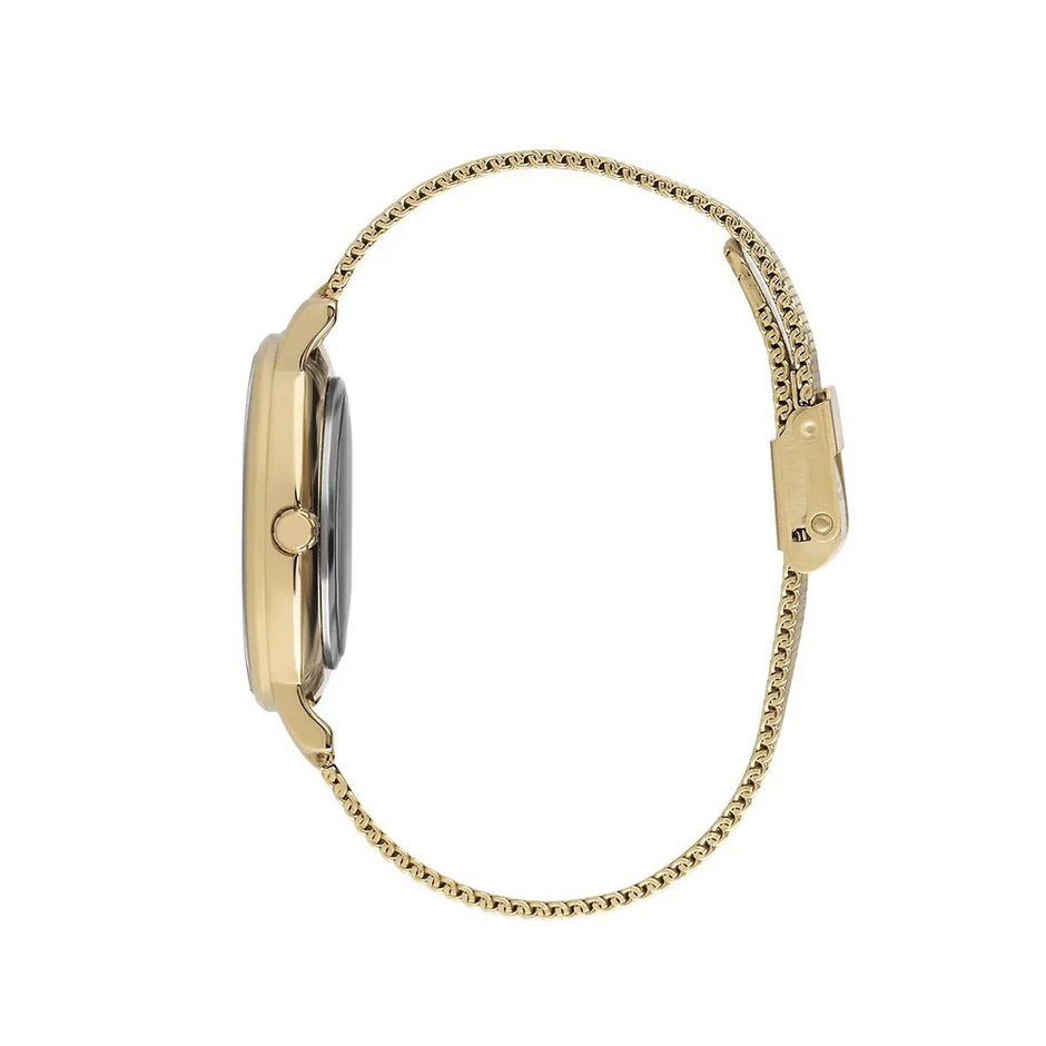 Lee Cooper Watches - Limton Watch